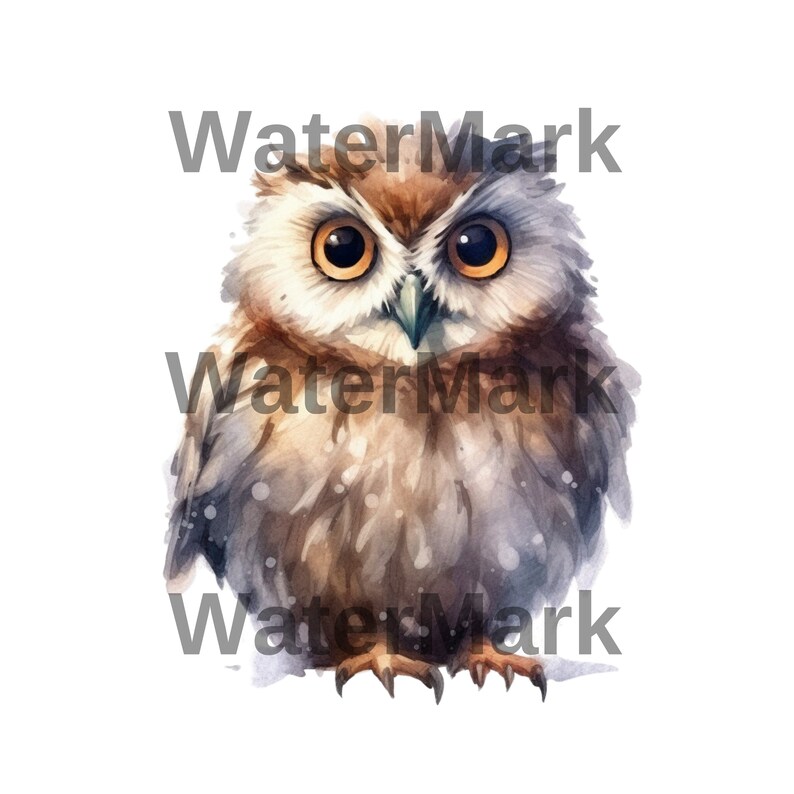 20 + Owl PNG, Transparent Animal Owl Clipart, Kids Cartoon Design ...