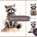 50 Raccoon PNG, Transparent Animal Raccoon Clipart, Kids Cartoon Design ...