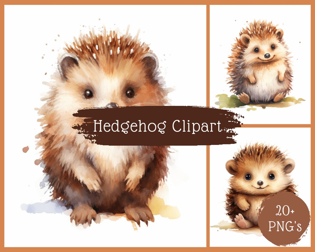 20 + Hedgehog PNG, Transparent Animal Hedgehog Clipart, Kids Cartoon ...