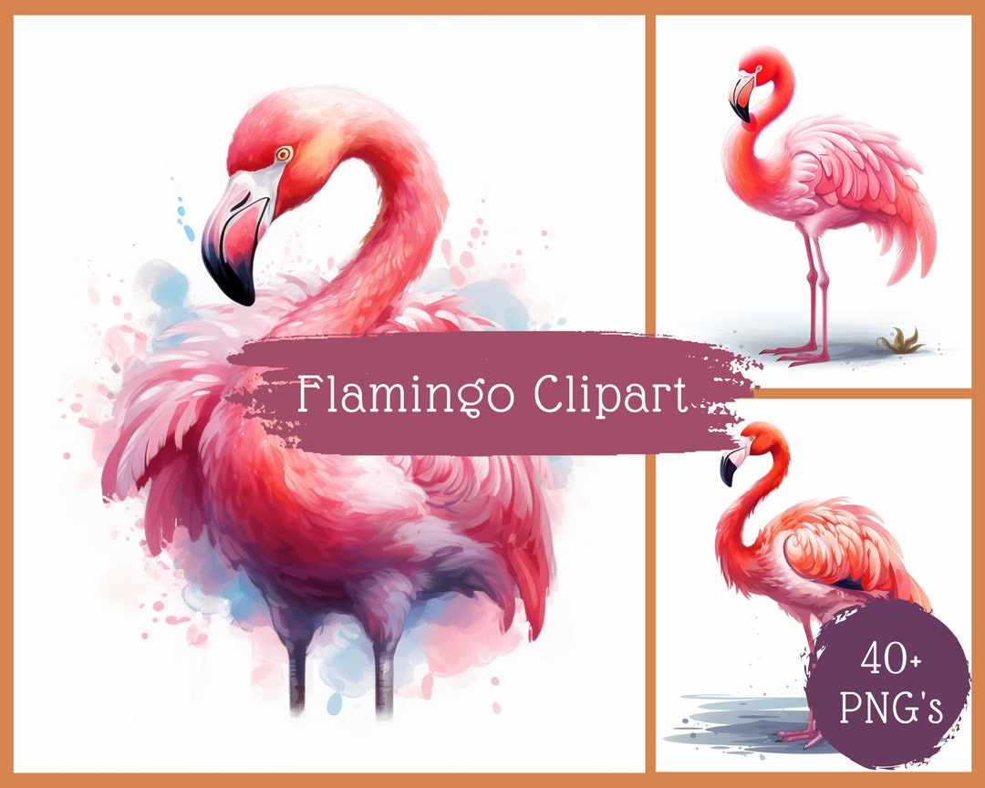 40+ Flamingo PNG, Transparent Animal Flamingo Clipart, Kids Cartoon ...