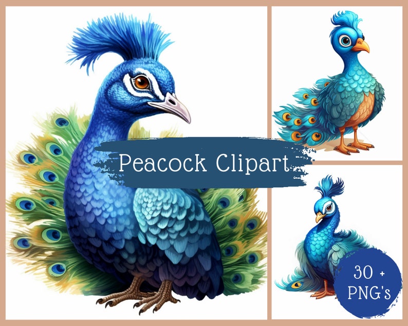 30 + Peacock PNG, Transparent Animal Peacock Clipart, Kids Cartoon ...