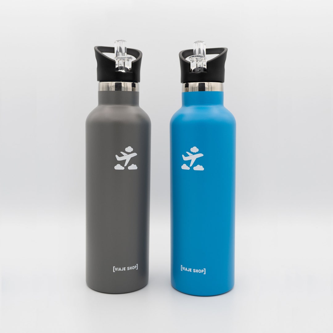 Stainless Steel Flask Water Bottle Thermos Straw Lid Drinking 25oz ...