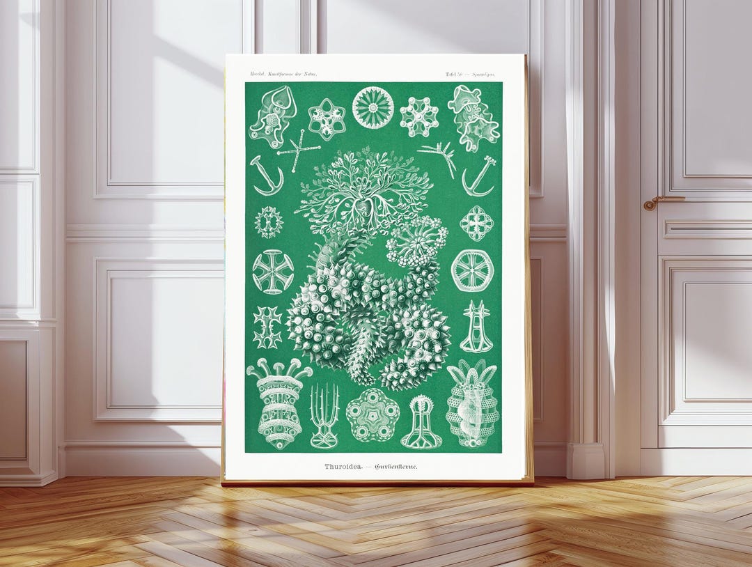 Ernst Haeckel Inspired Print, Ernst Haeckel Poster, Printable Wall Art ...