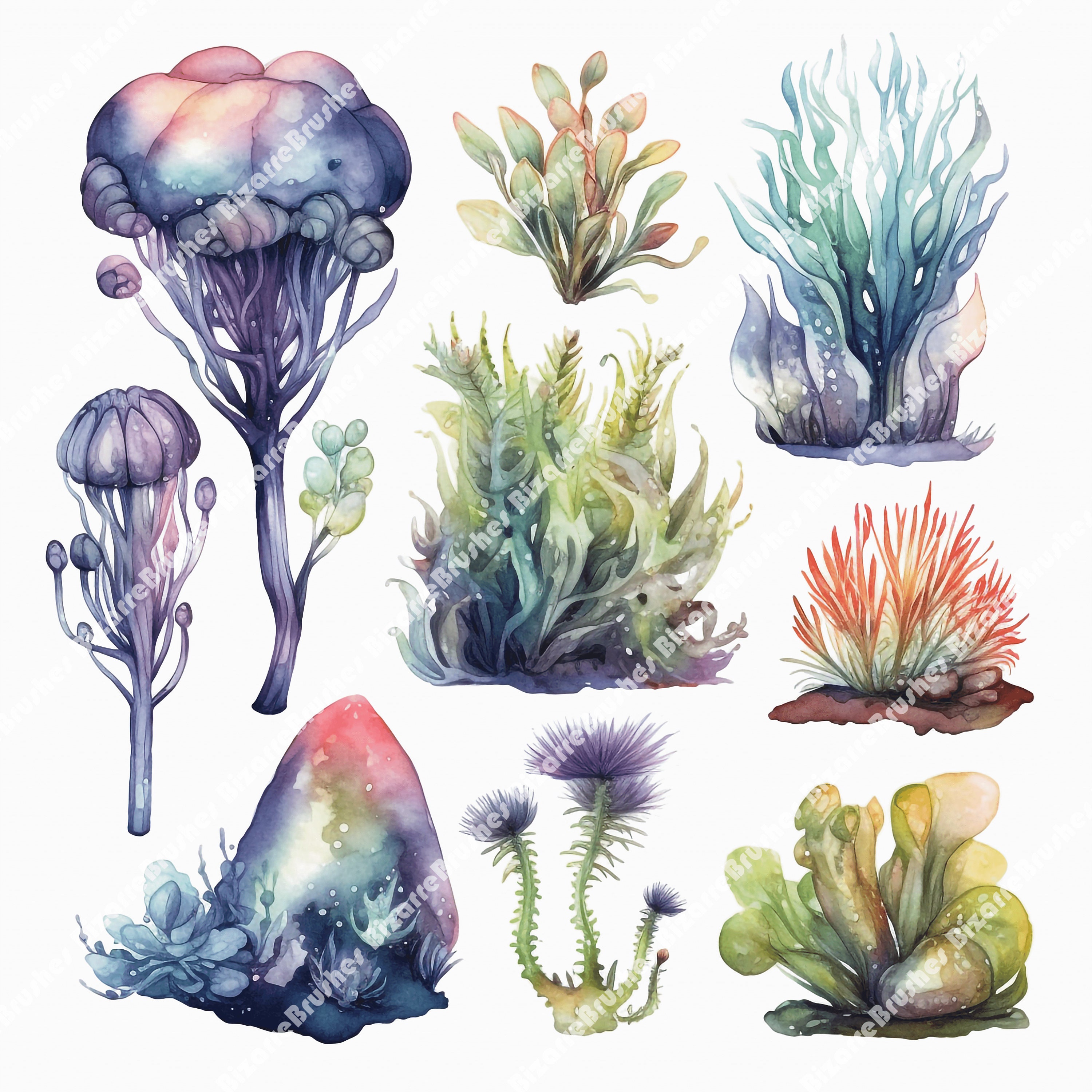 Watercolor Fantasy Flora PNG Clipart Bundle Featuring Unique Alien ...