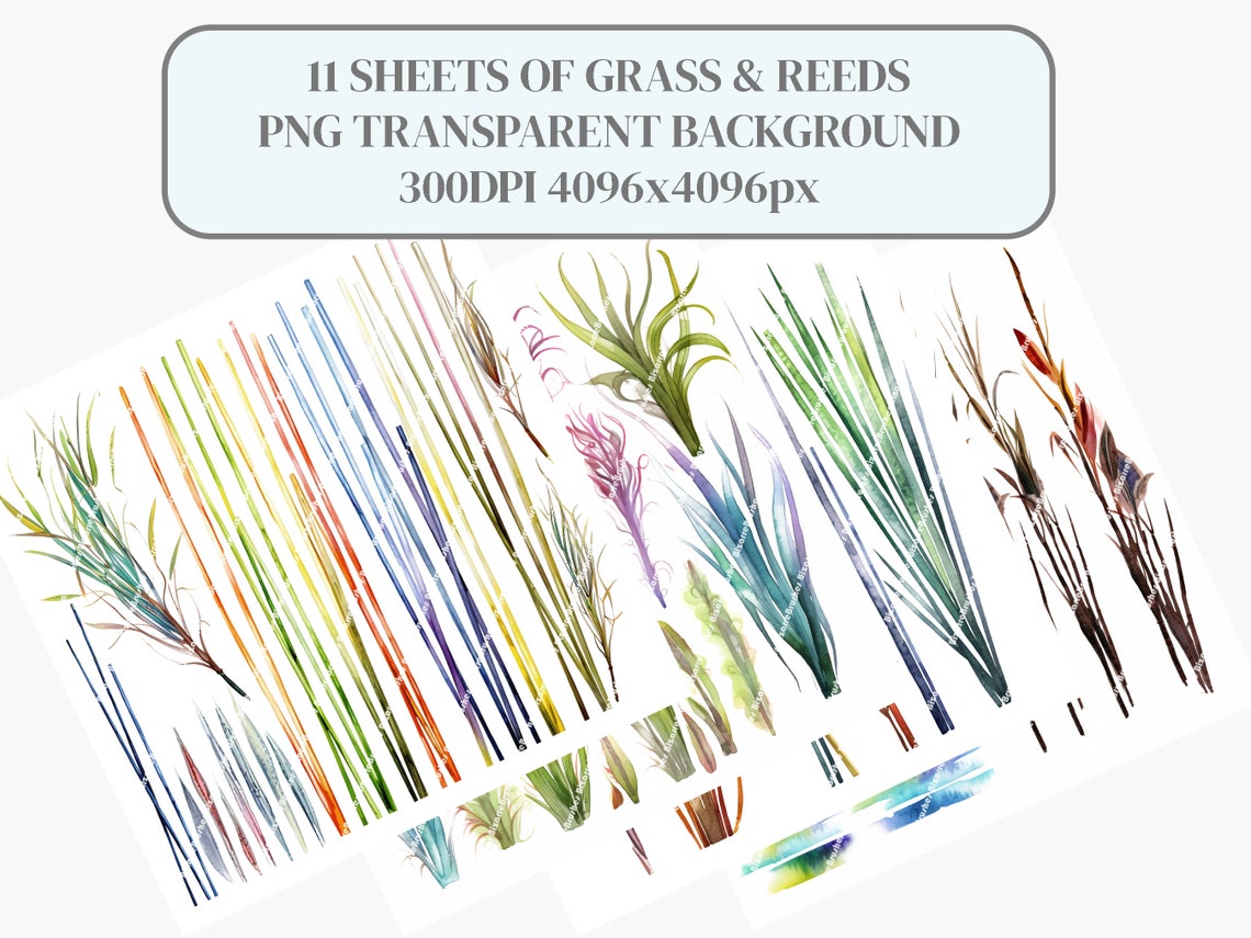 Reeds and Grass Watercolor PNG Clipart Bundle Featuring Blades of Grass ...