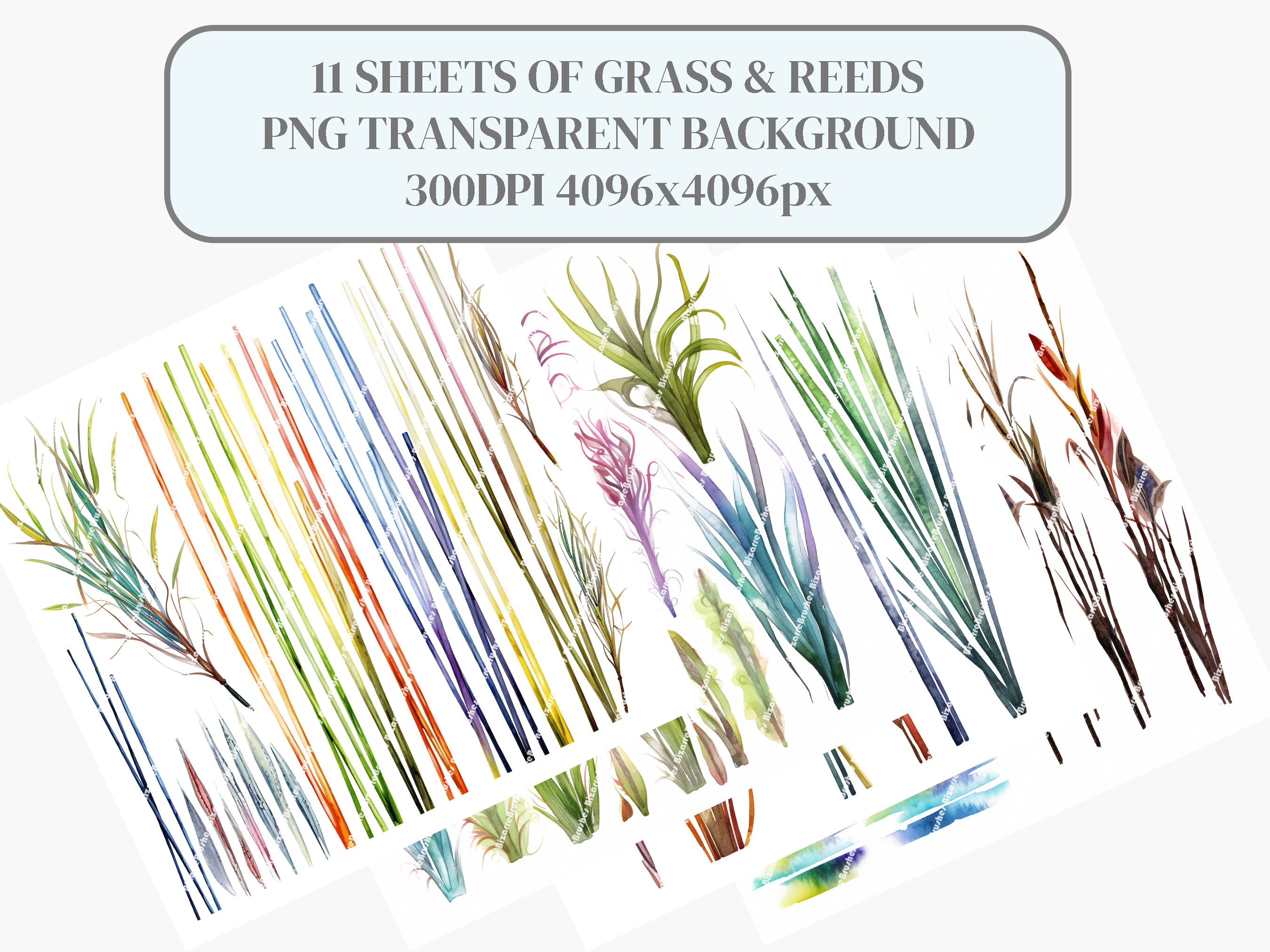 Reeds and Grass Watercolor PNG Clipart Bundle Featuring Blades of Grass ...