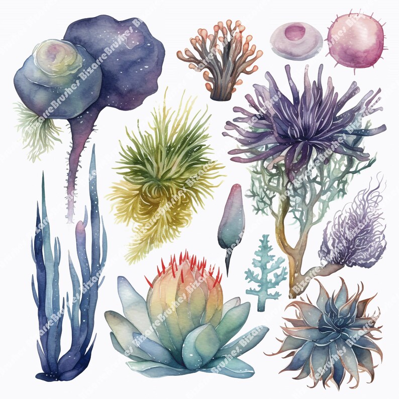 Watercolor Fantasy Flora PNG Clipart Bundle Featuring Unique Alien ...