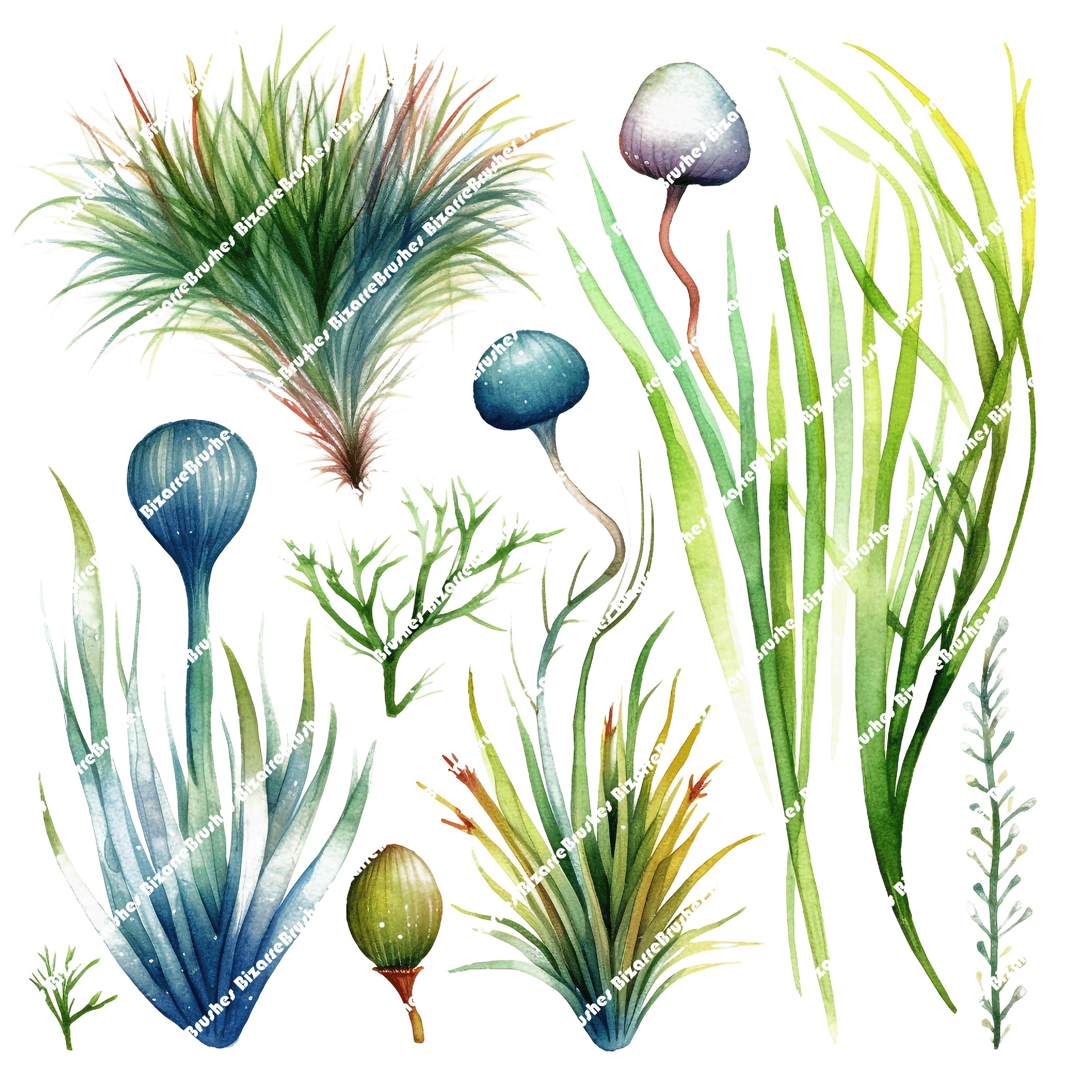 Reeds and Grass Watercolor PNG Clipart Bundle Featuring Blades of Grass ...
