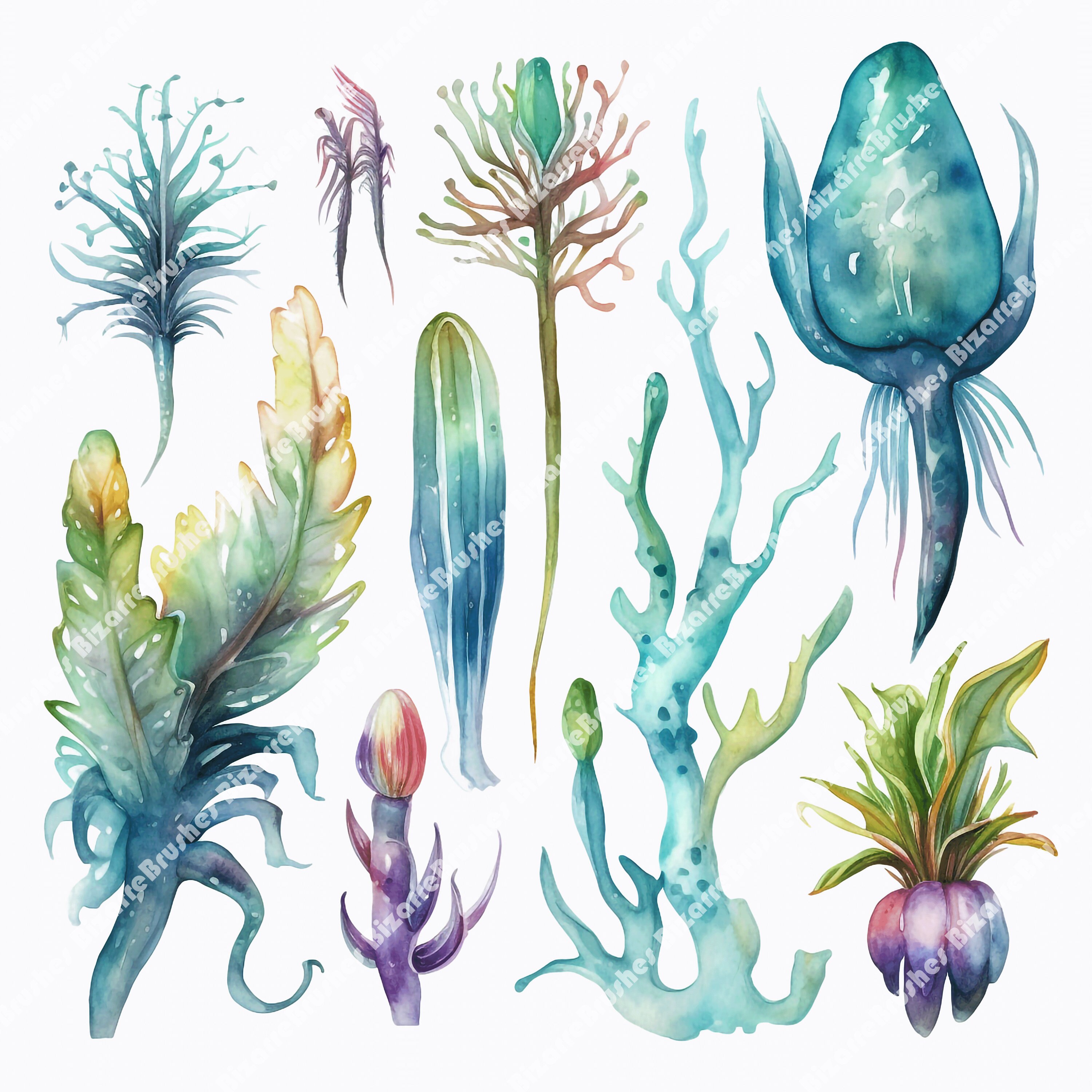 Watercolor Fantasy Flora PNG Clipart Bundle Featuring Unique Alien ...