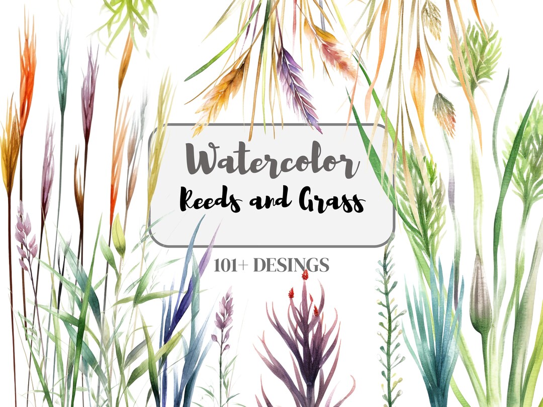 Reeds and Grass Watercolor PNG Clipart Bundle Featuring Blades of Grass ...