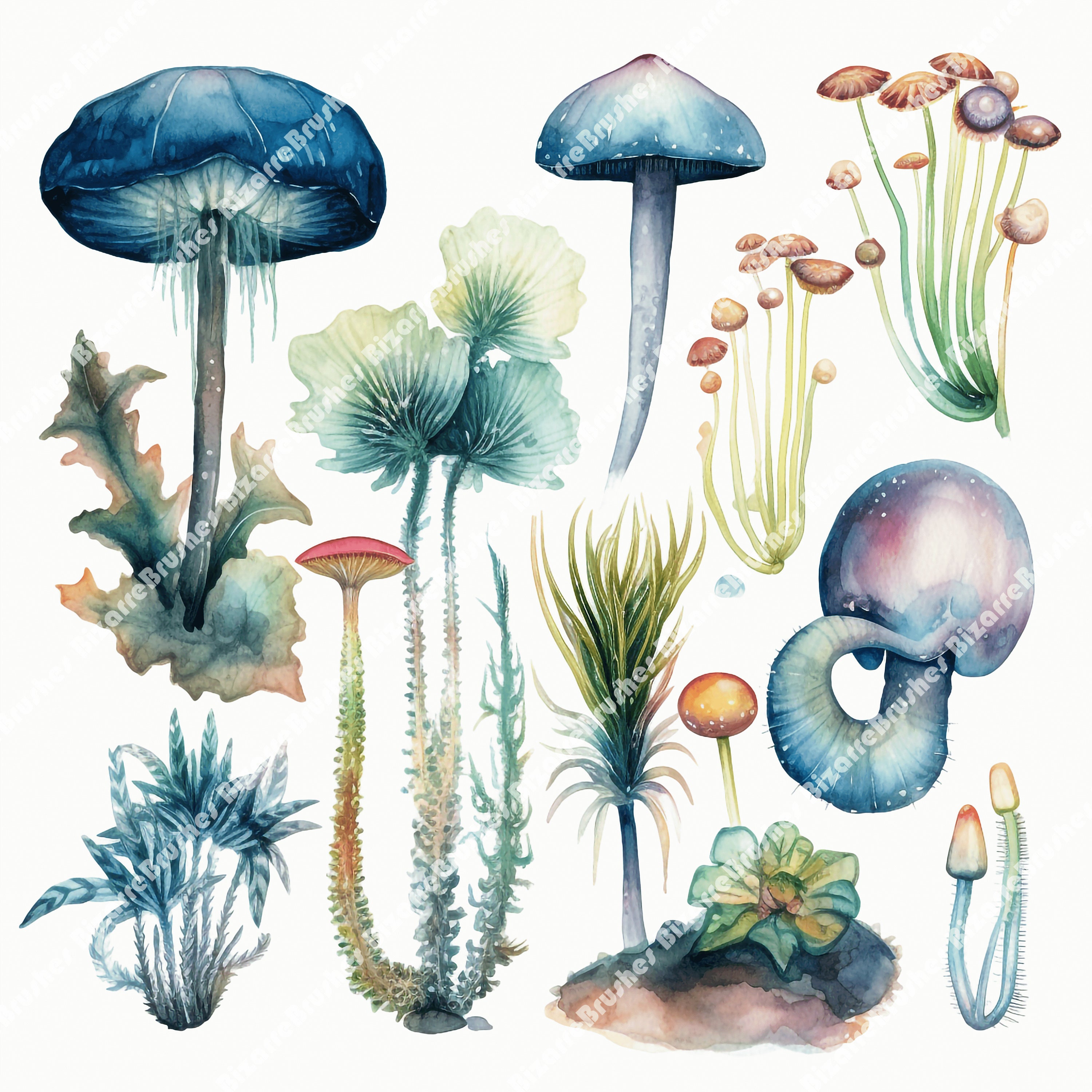 Watercolor Fantasy Flora PNG Clipart Bundle Featuring Unique Alien ...