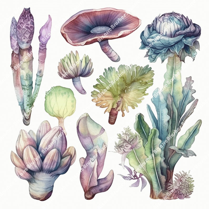 Fantasy Flora Watercolor PNG Clipart Featuring - Etsy