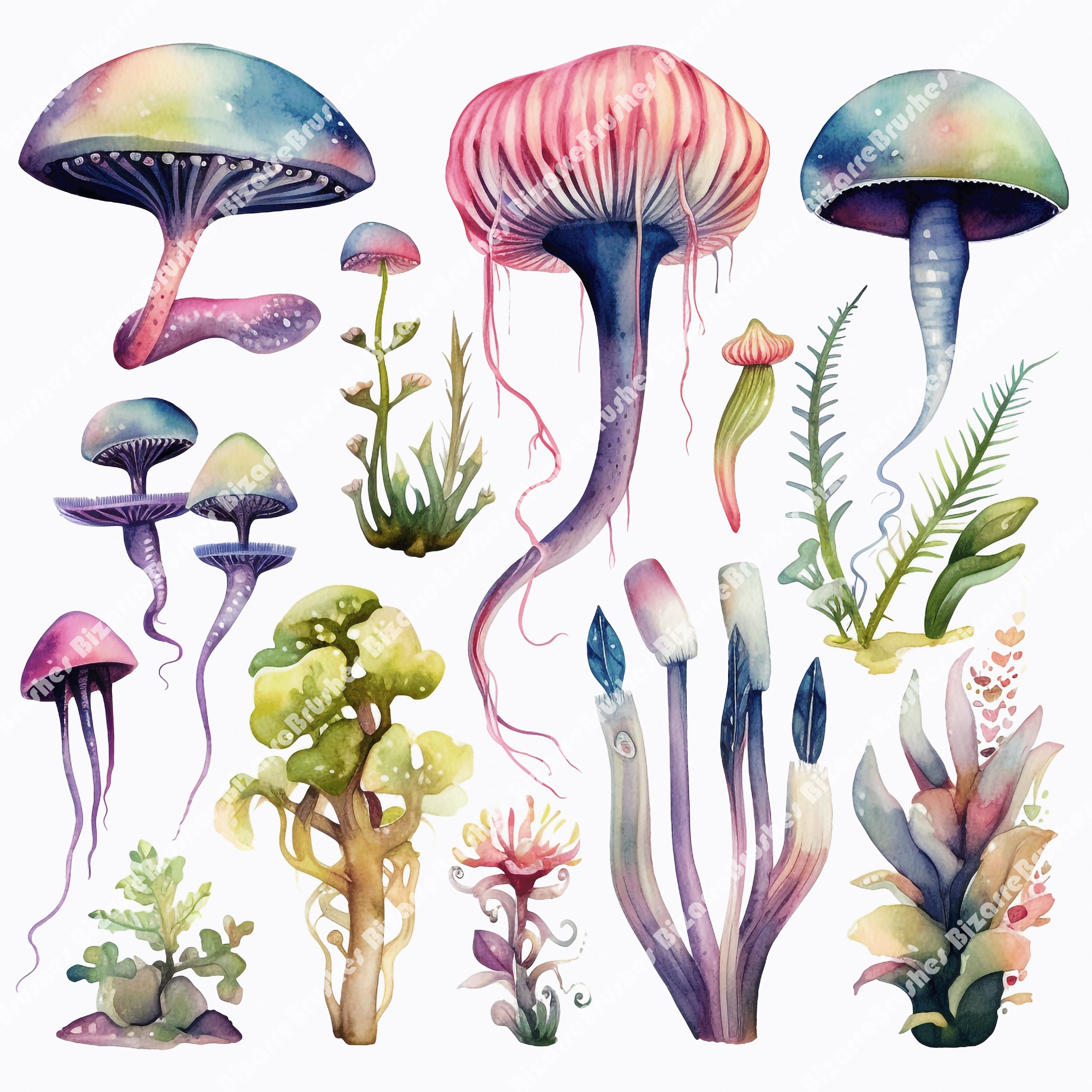 Alien Dreamland PNG Clipart Featuring Fantasy Plants & Mushrooms ...