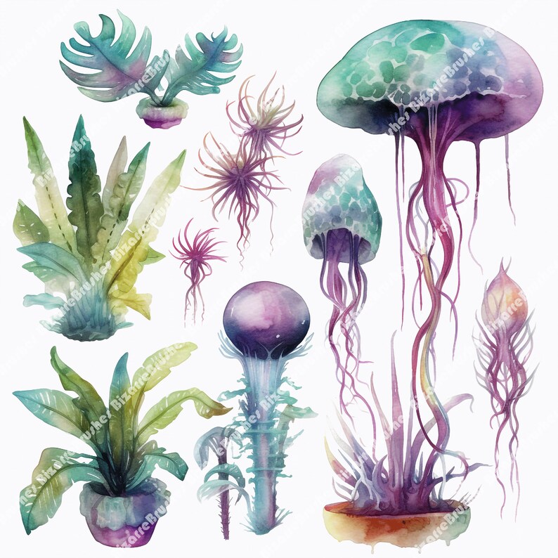 Watercolor Fantasy Flora PNG Clipart Bundle Featuring Unique Alien ...