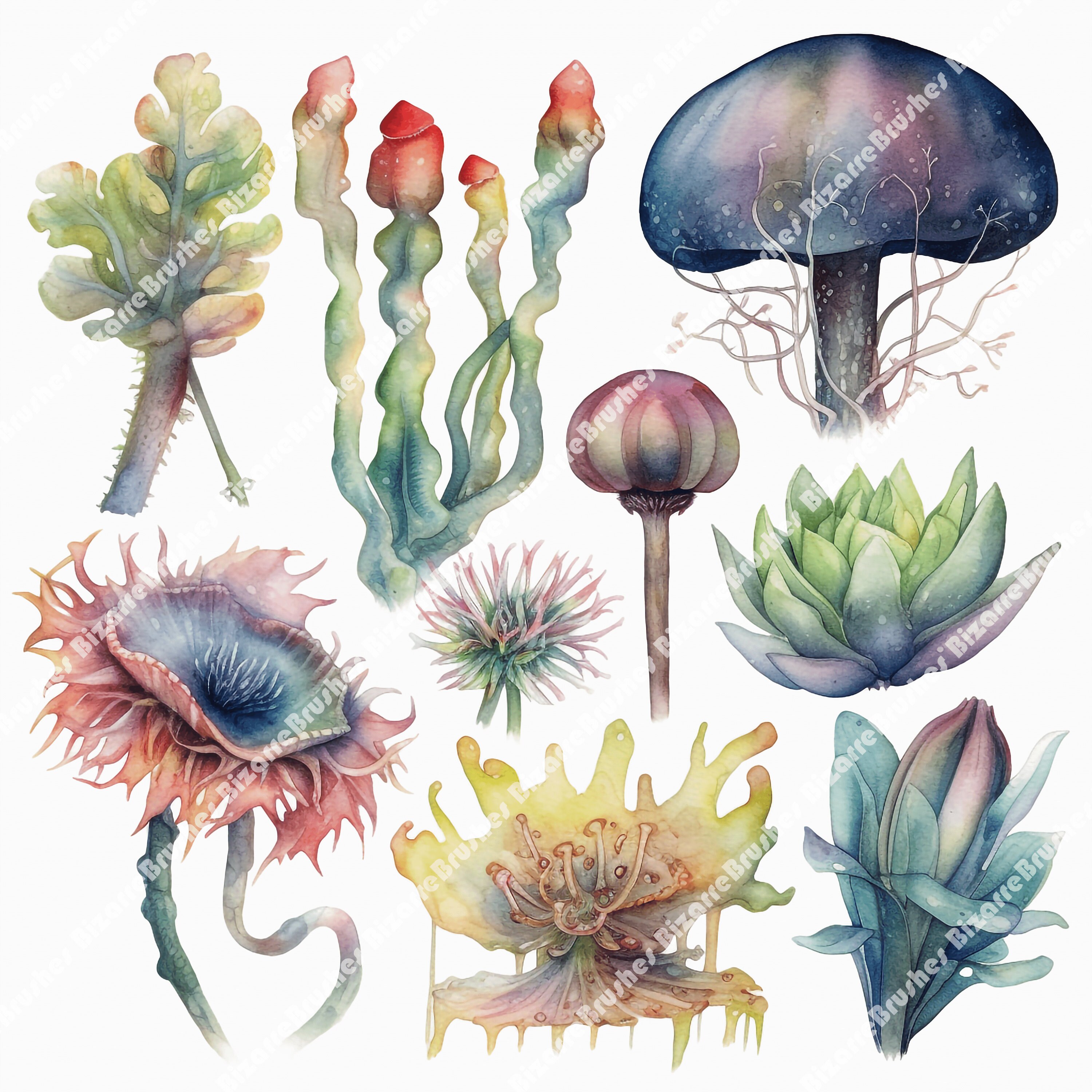 Watercolor Fantasy Flora PNG Clipart Bundle Featuring Unique Alien ...