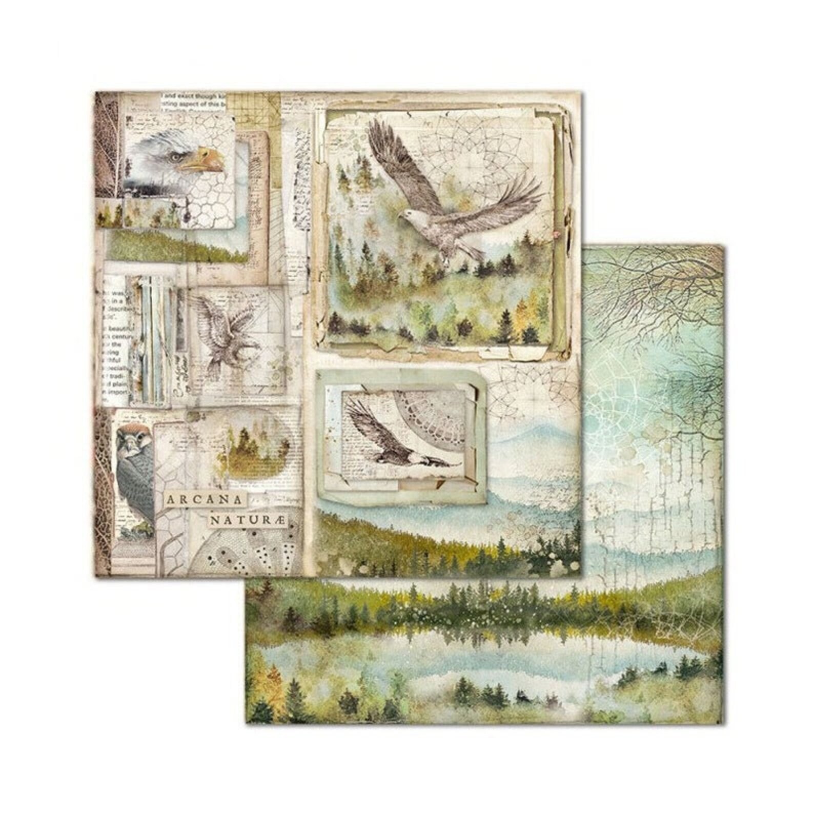 Stamperia Forest Paper Pack Double Sided Paper 12x12 Paper Cardstock ...