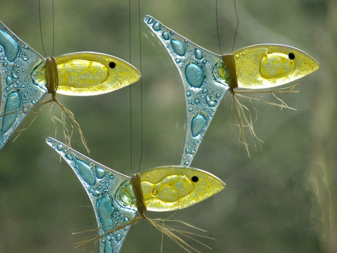 Fish From Glass /3 Pcs./ Glass Window Art, Glass Light Catcher, Hanging ...