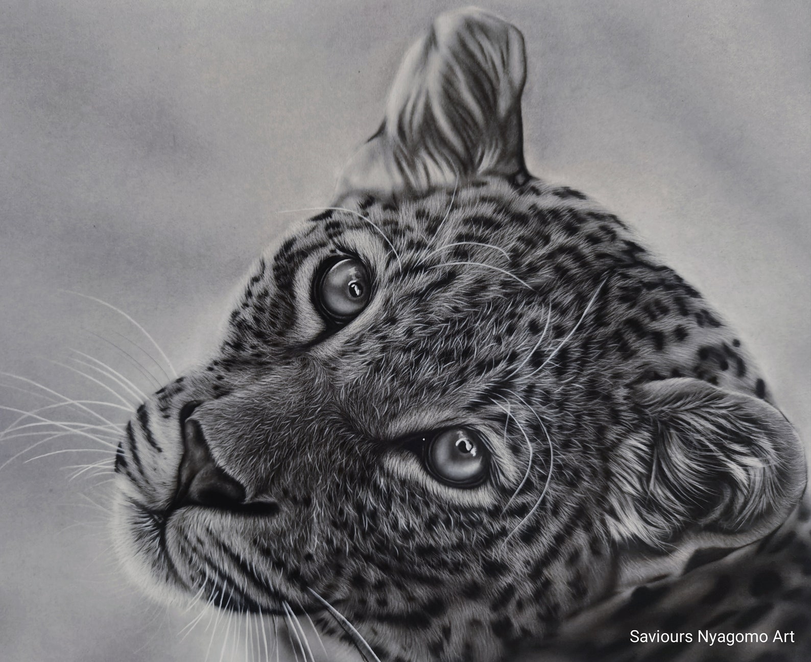 Leopard Drawing - Etsy