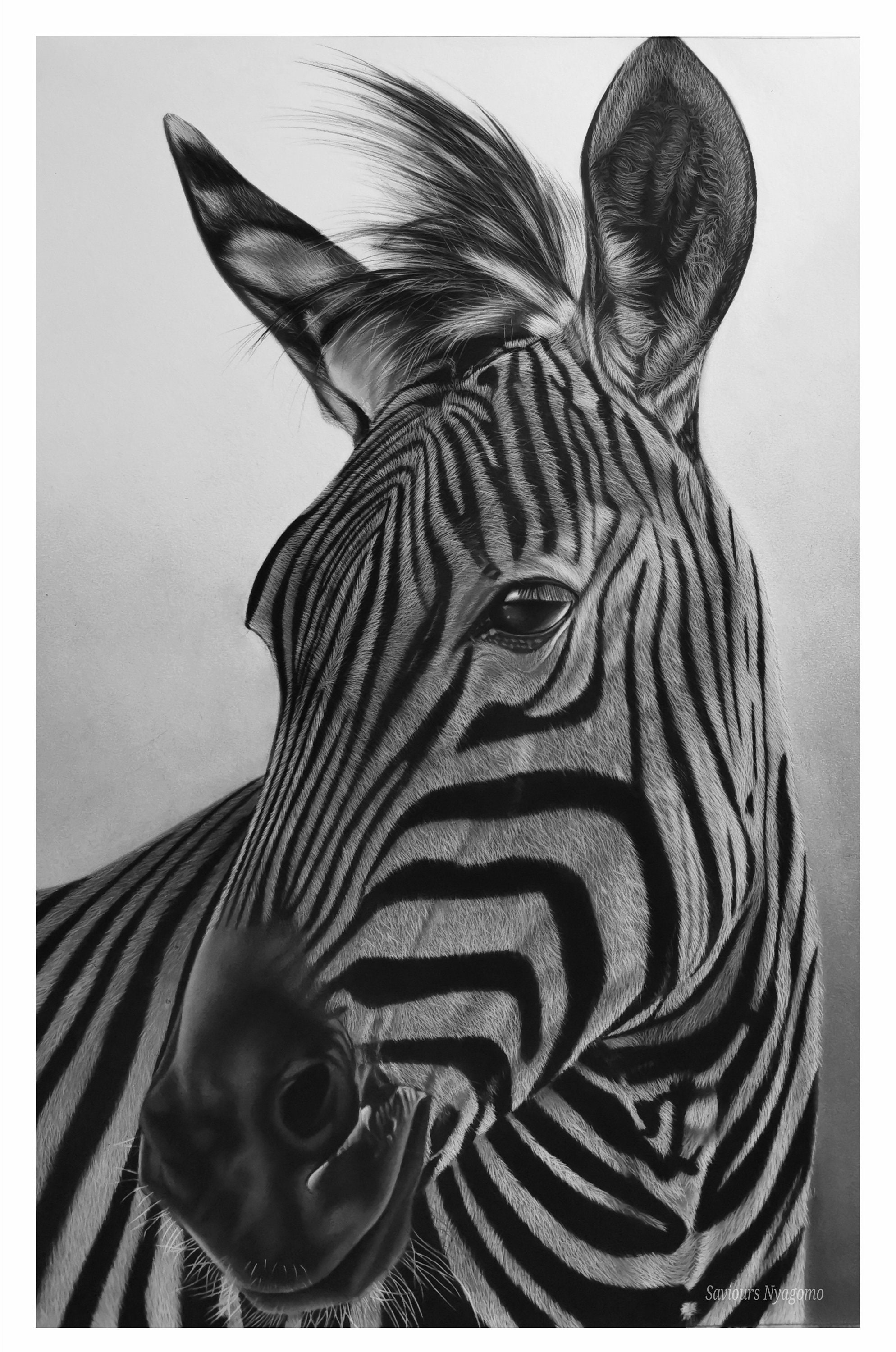Zebra Print - Etsy