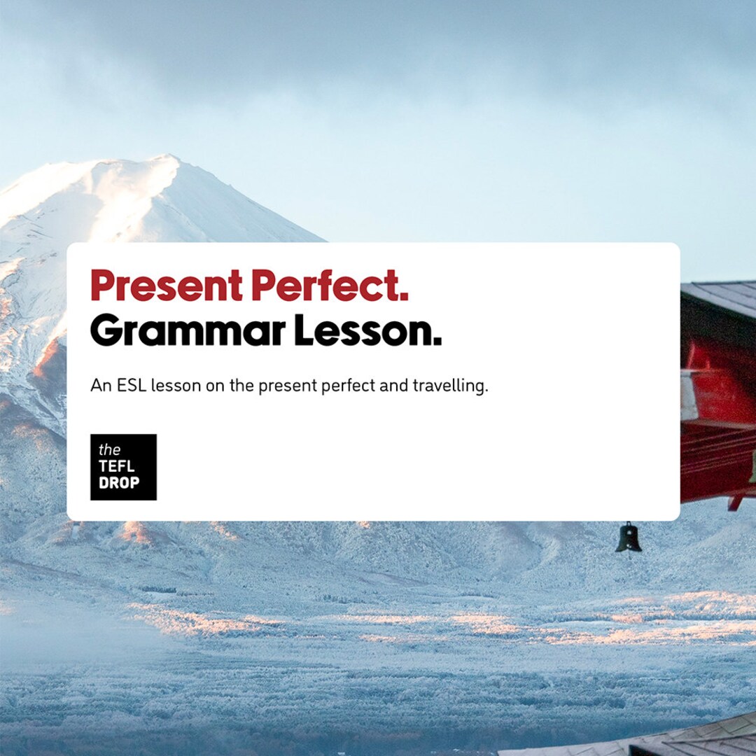 Present Perfect Grammar Lesson - Etsy