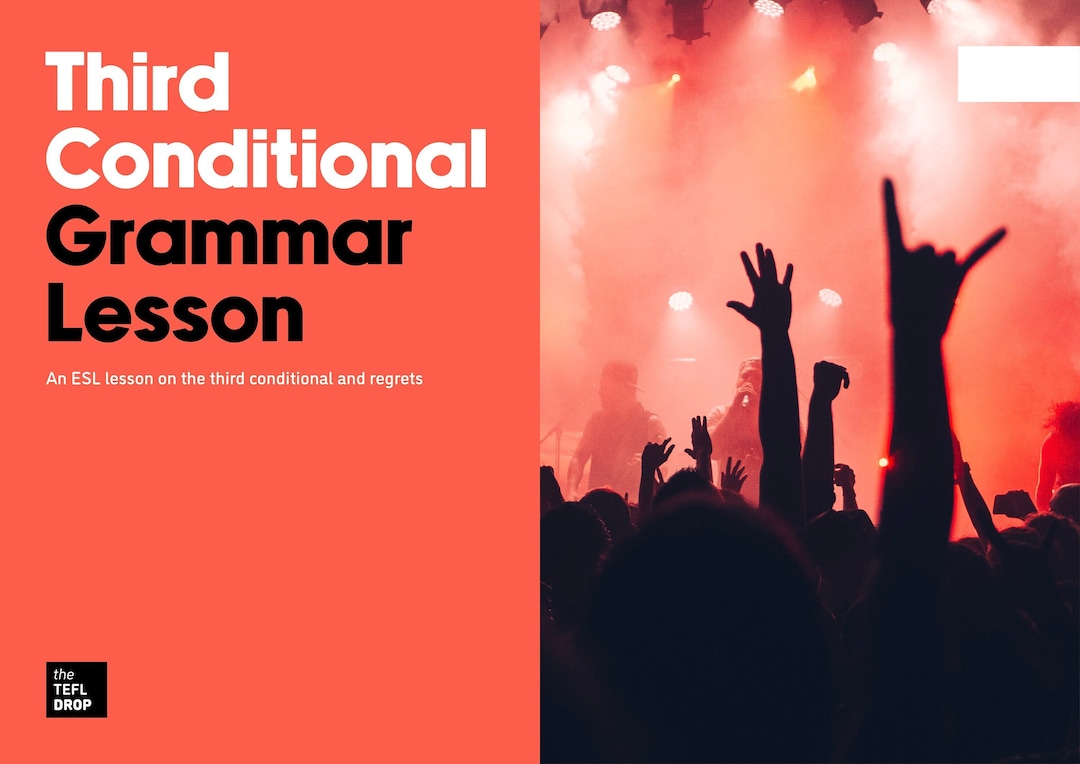 Third Conditional Grammar Lesson - Etsy