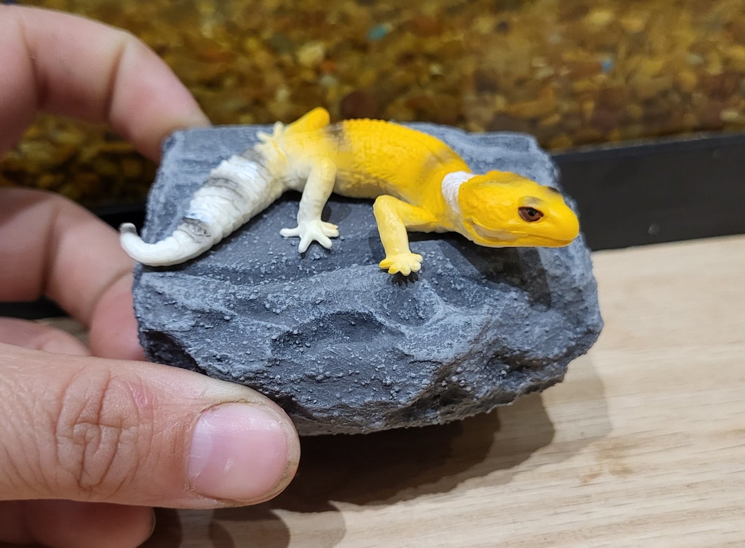 Leopard Gecko Fridge Magnet - Etsy