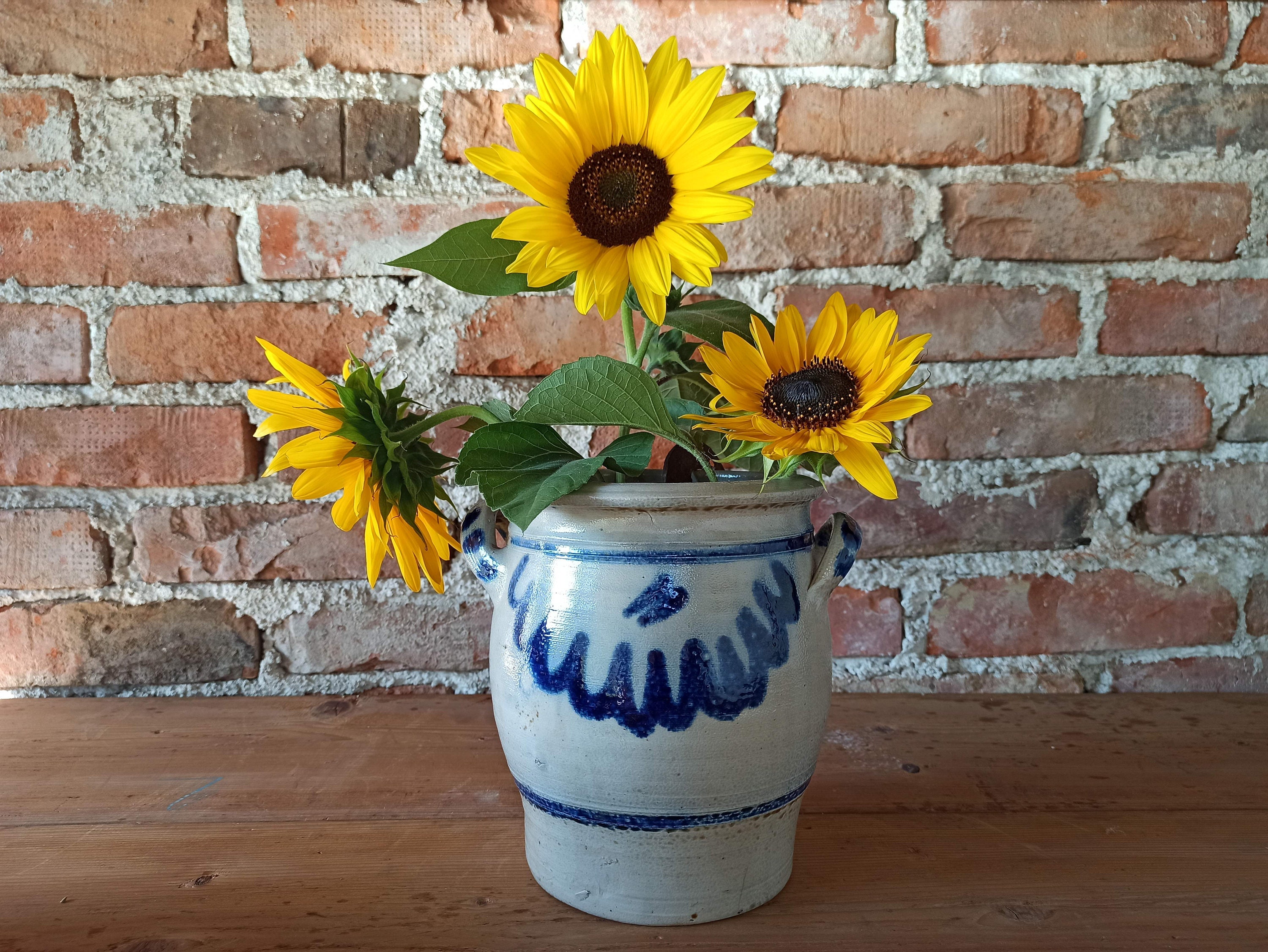 Salt Glazed Vintage Crock Pot From Germany Westerwald Kitchen Stoneware ...