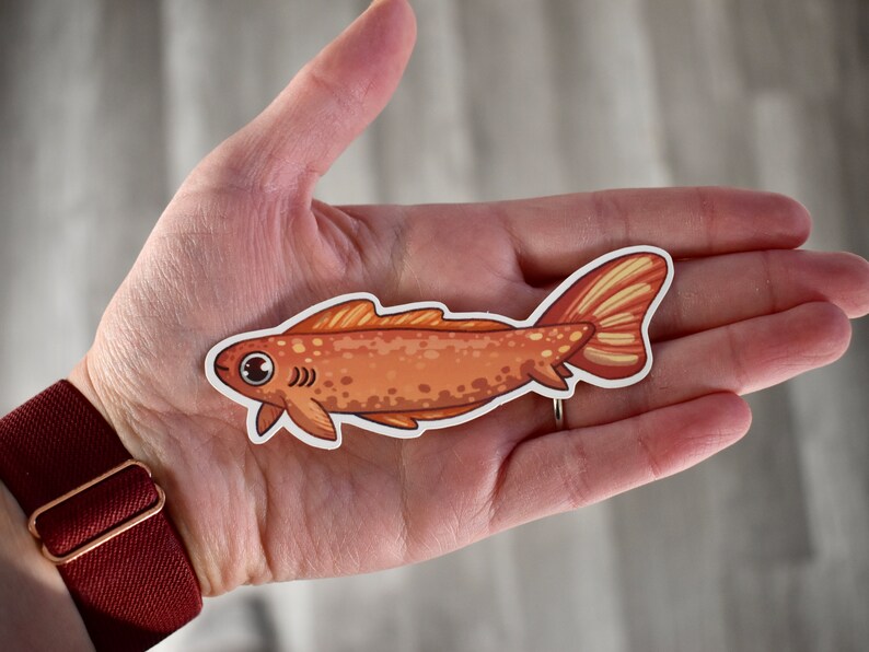 Three Fish Vinyl Stickers - Matte and Waterproof - Available as Set or ...