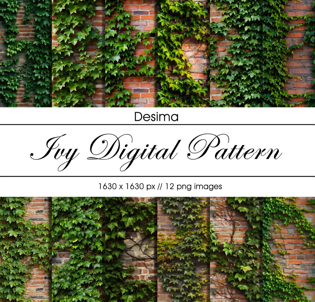 Ivy on Brick Wall Set 2: Alluring Designs for DIY Projects & Commercial ...