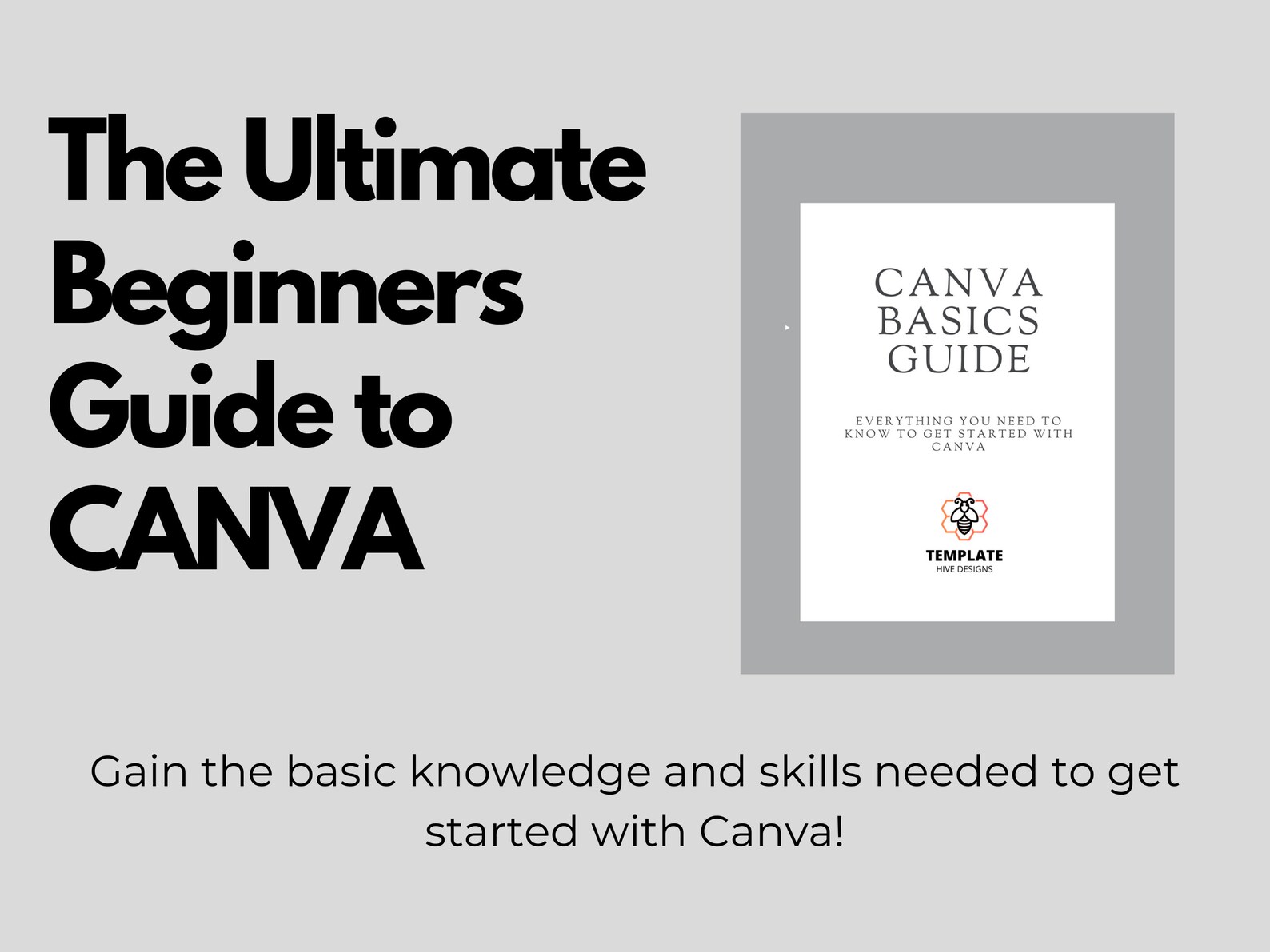 Canva Basics Guide I How to Use Canva I Getting Started With Canva I Canva How-to Guide for ...