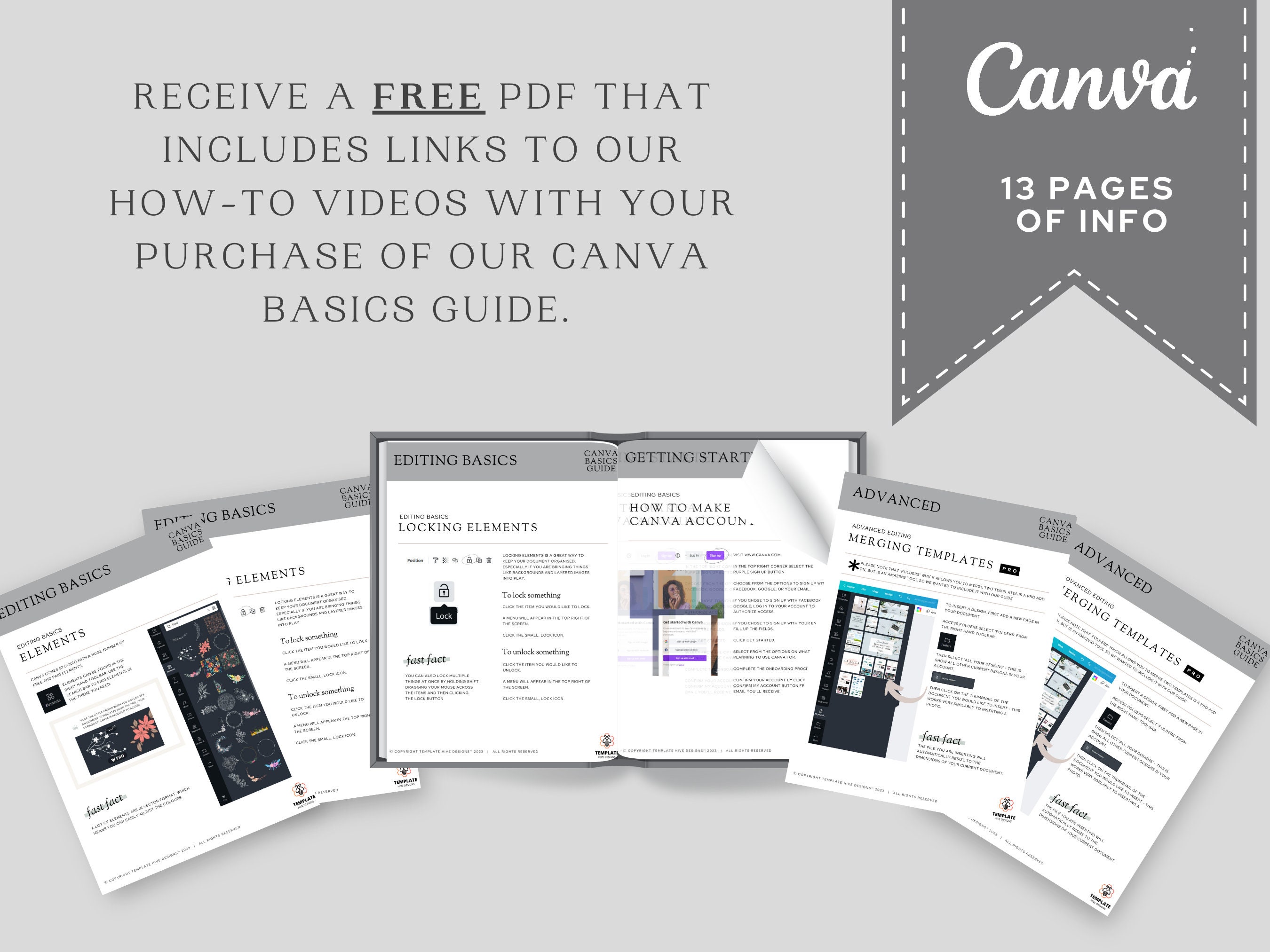 Canva Basics Guide I How to Use Canva I Getting Started With Canva I Canva How-to Guide for ...