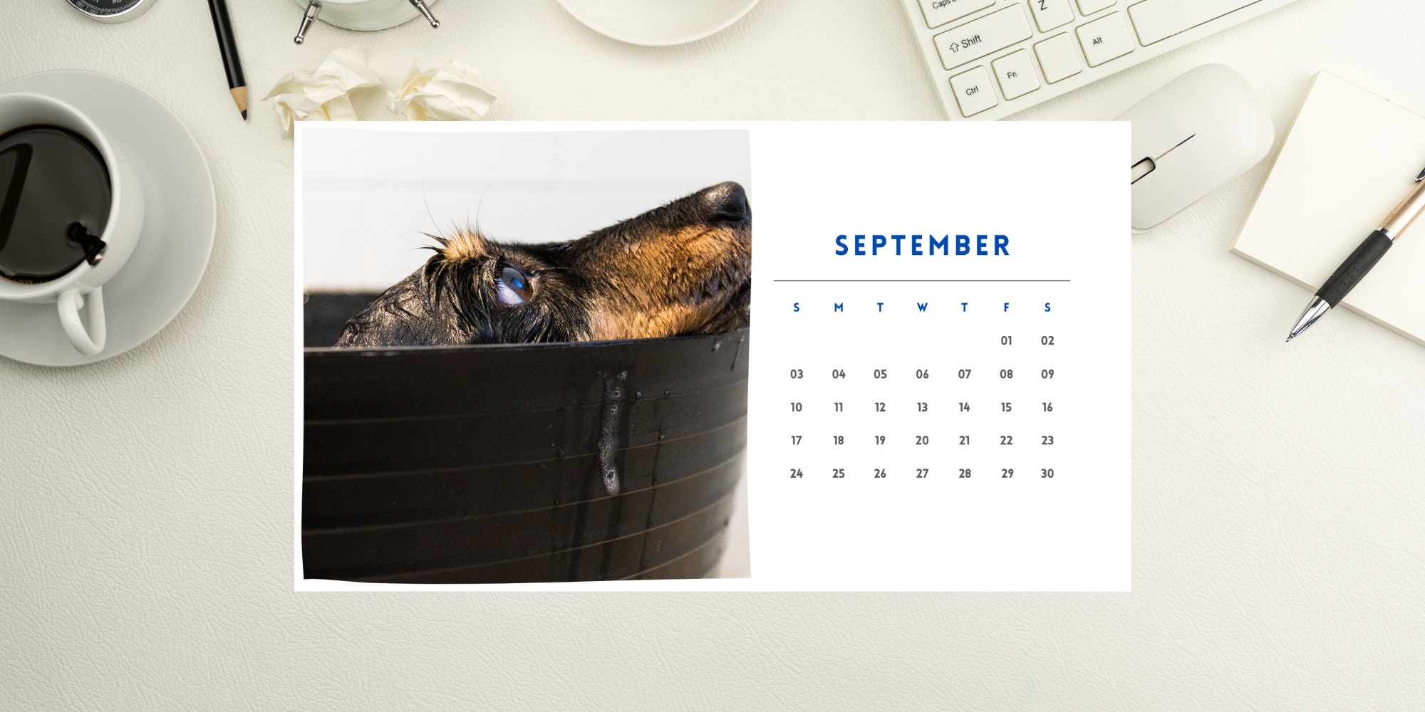 2023 Dachshund Wall Calendar Printable Digital Download for - Etsy