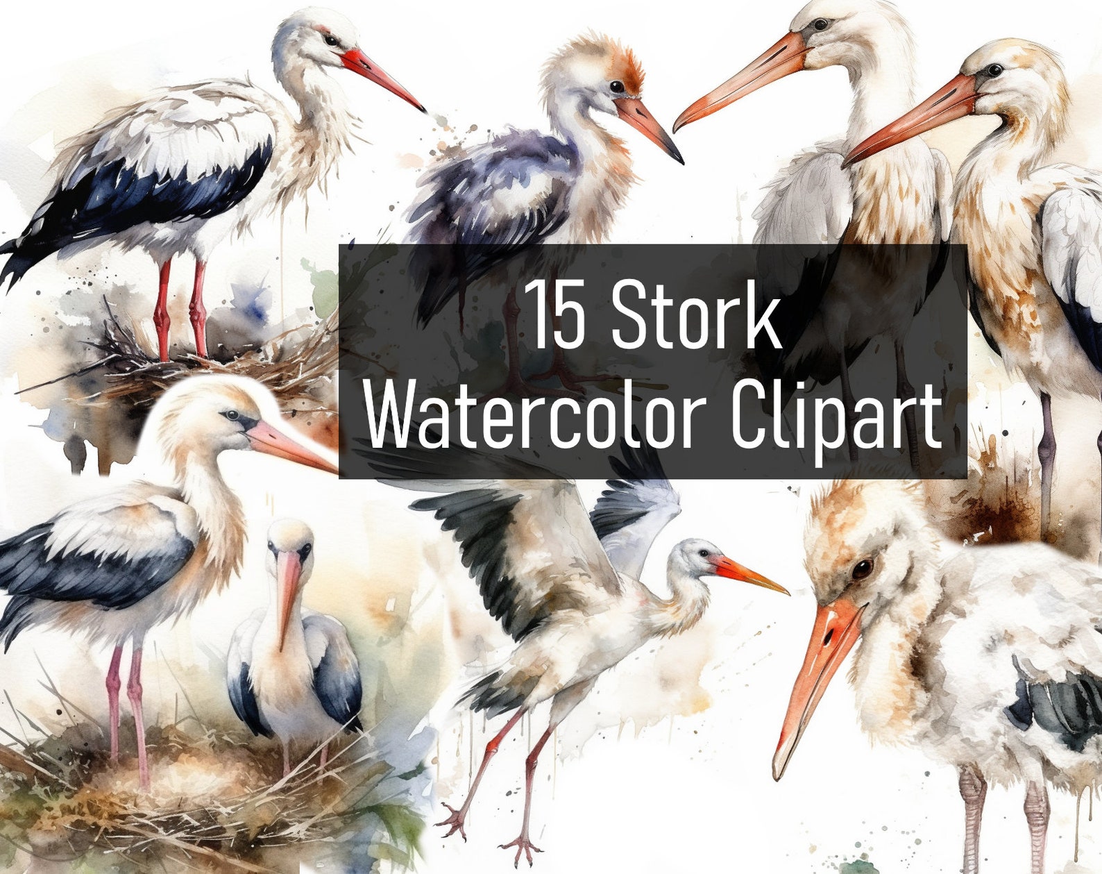 15 Watercolor Stork Illustration - Clipart - Digital Download ...