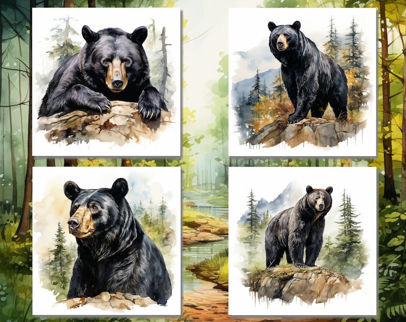 20 Watercolor Black Bear Illustration Cliparts - Digital Download ...