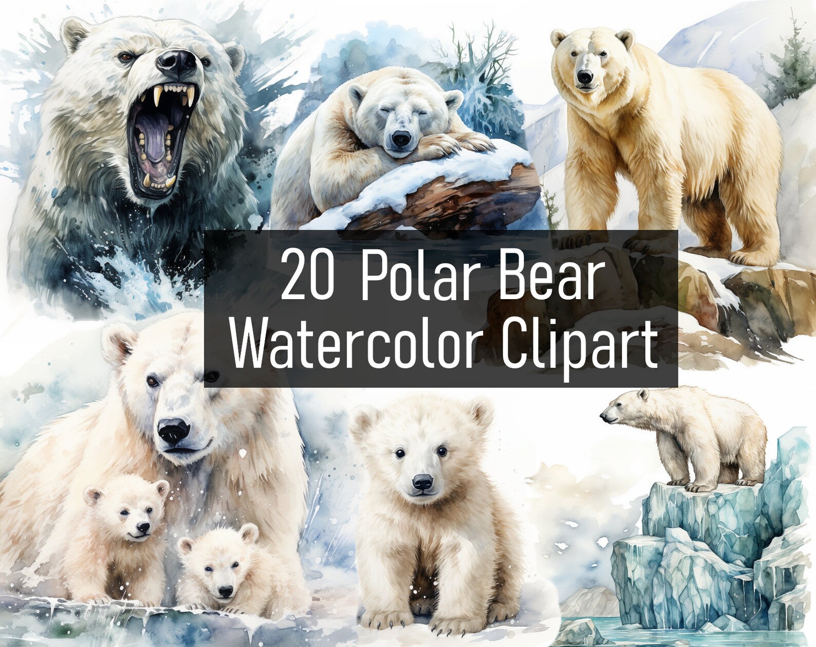 20 Watercolor Polar Bear Illustration Cliparts - Digital Download ...