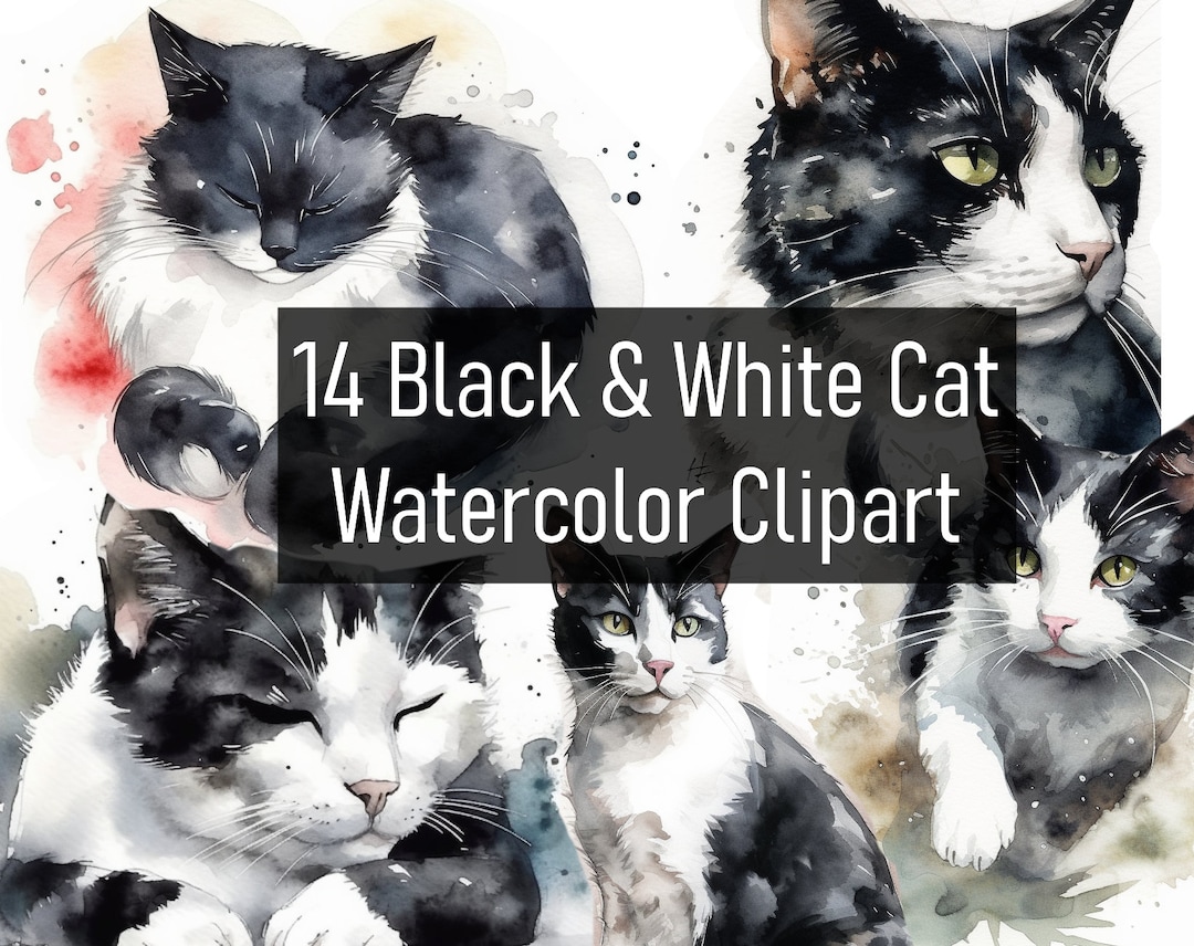 14 Watercolor Black and White Cat Illustrations Cliparts - Digital ...