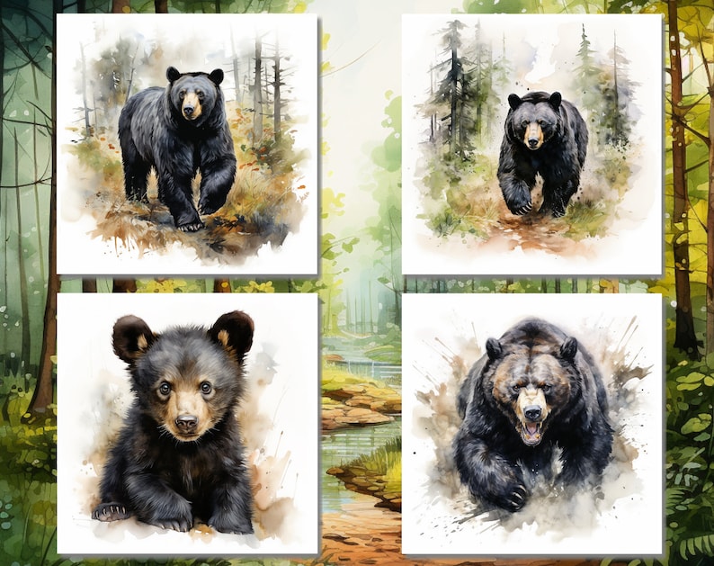 20 Watercolor Black Bear Illustration Cliparts - Digital Download ...