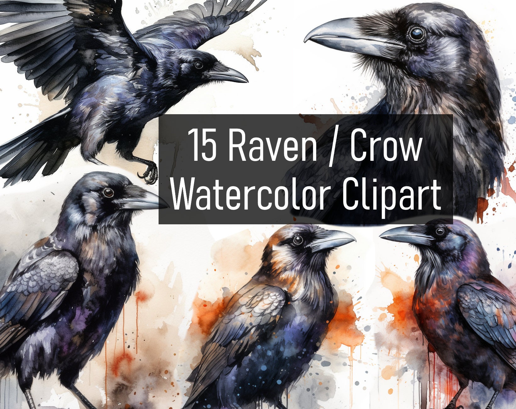 15 Raven / Crow Illustrations Cliparts - Digital Download - Printable ...