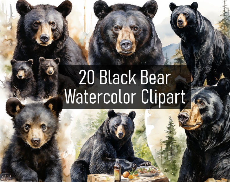 20 Watercolor Black Bear Illustration Cliparts - Digital Download ...