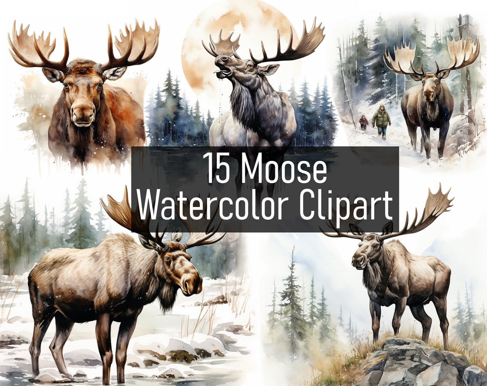 15 Watercolor Moose Illustration Cliparts - Digital Download ...