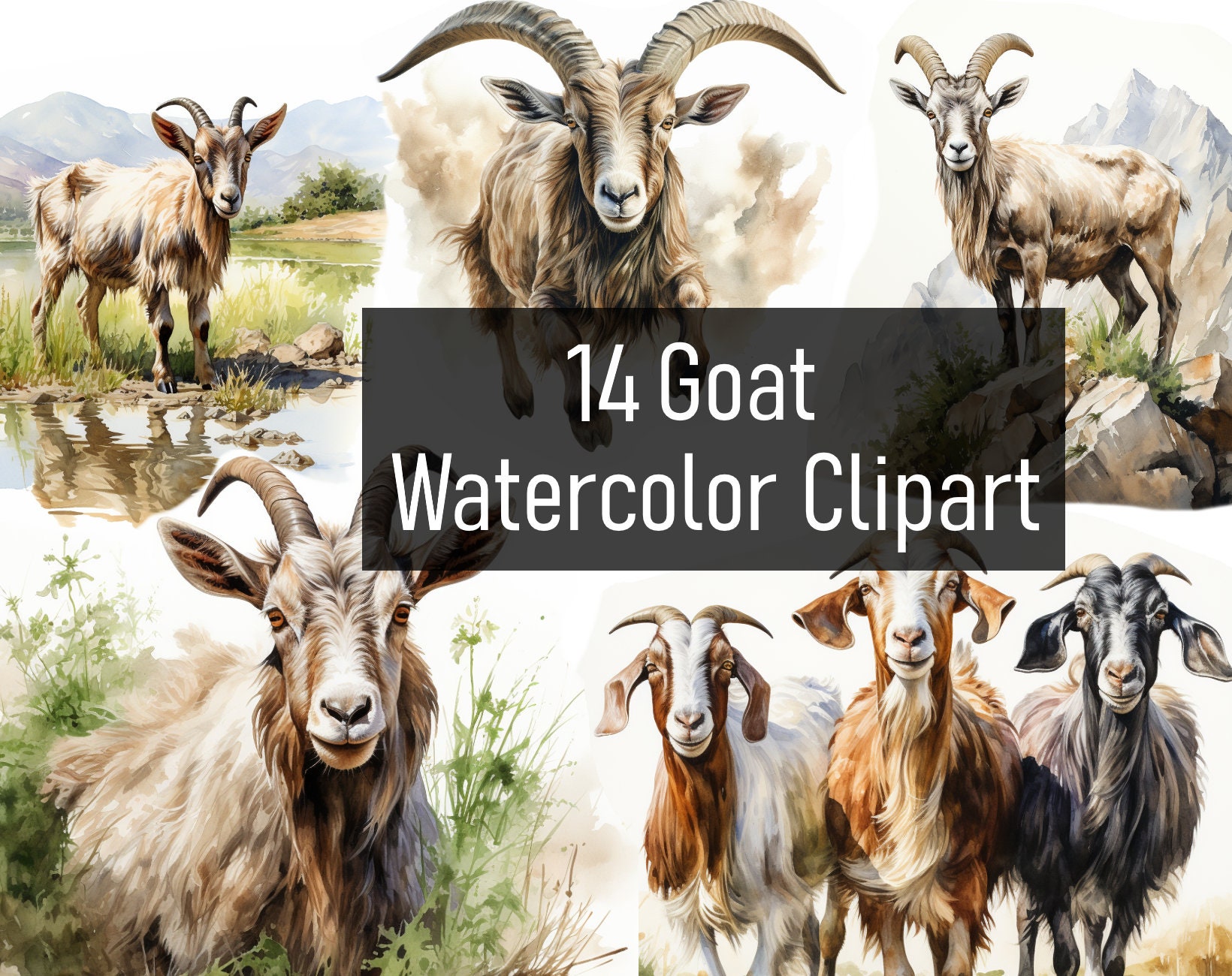 15 Watercolor Goat Illustration Cliparts Digital Download Printable ...