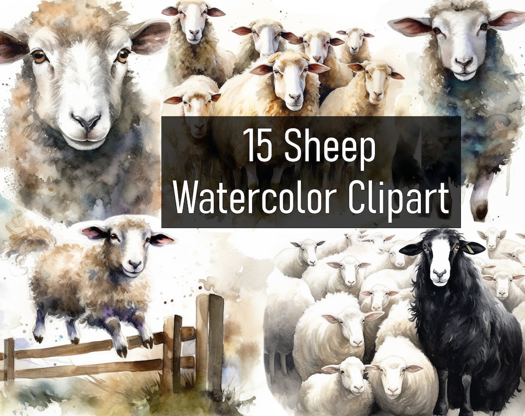 15 Watercolor Sheep Illustration Cliparts - Digital Download ...