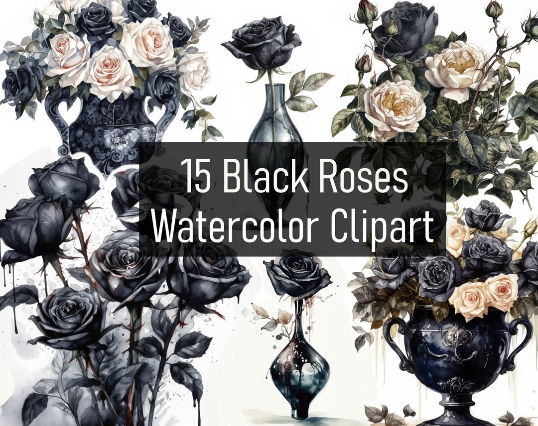 15 Watercolor Black Roses Illustration Clipart - Digital Download ...