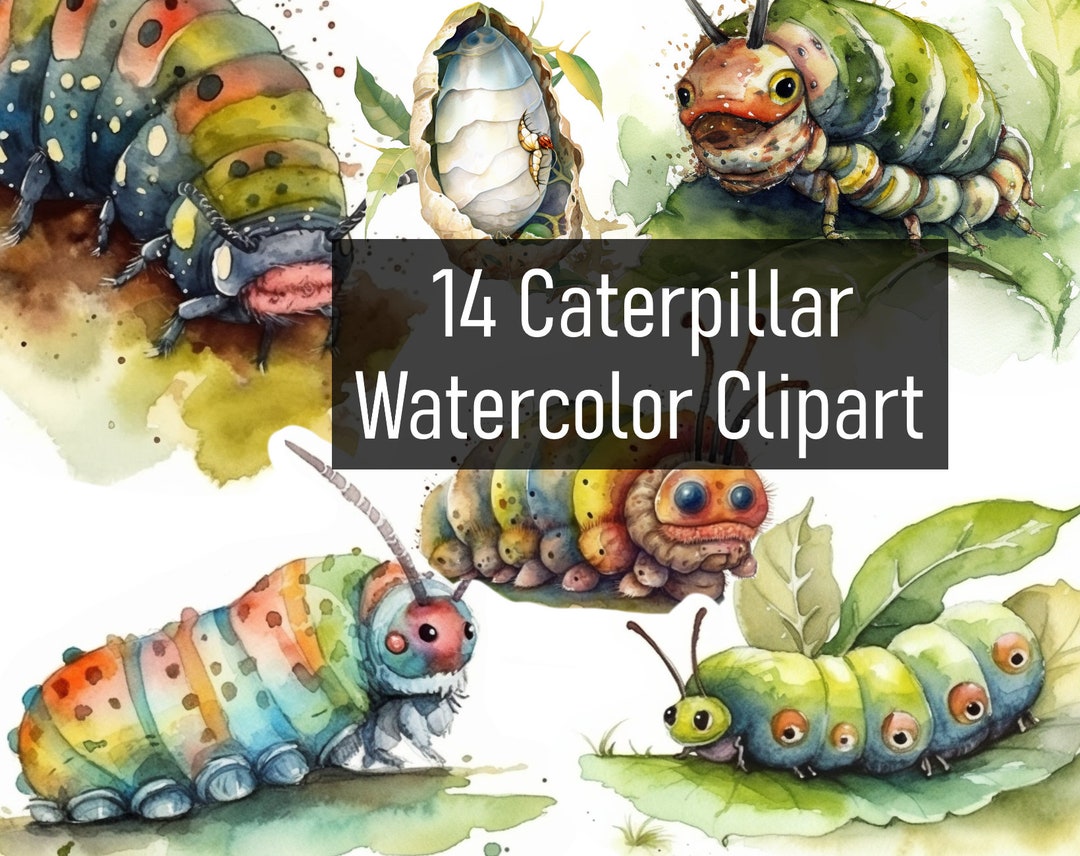 14 Watercolor Caterpillar Illustrations Cliparts - Digital Download ...