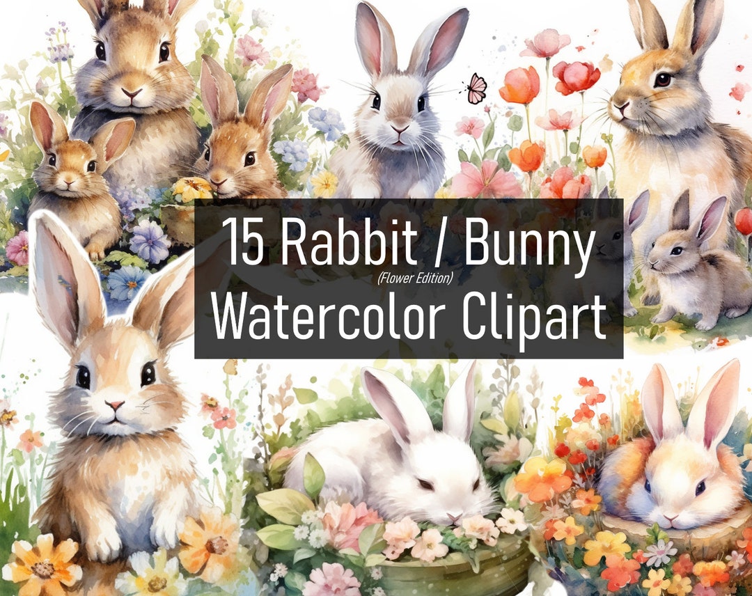 15 Watercolor Bunny / Rabbit Flower Illustrations Clipart - Digital ...