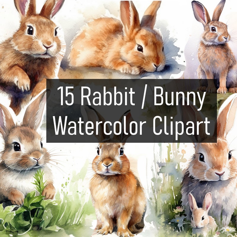 Watercolor Bunny - Etsy