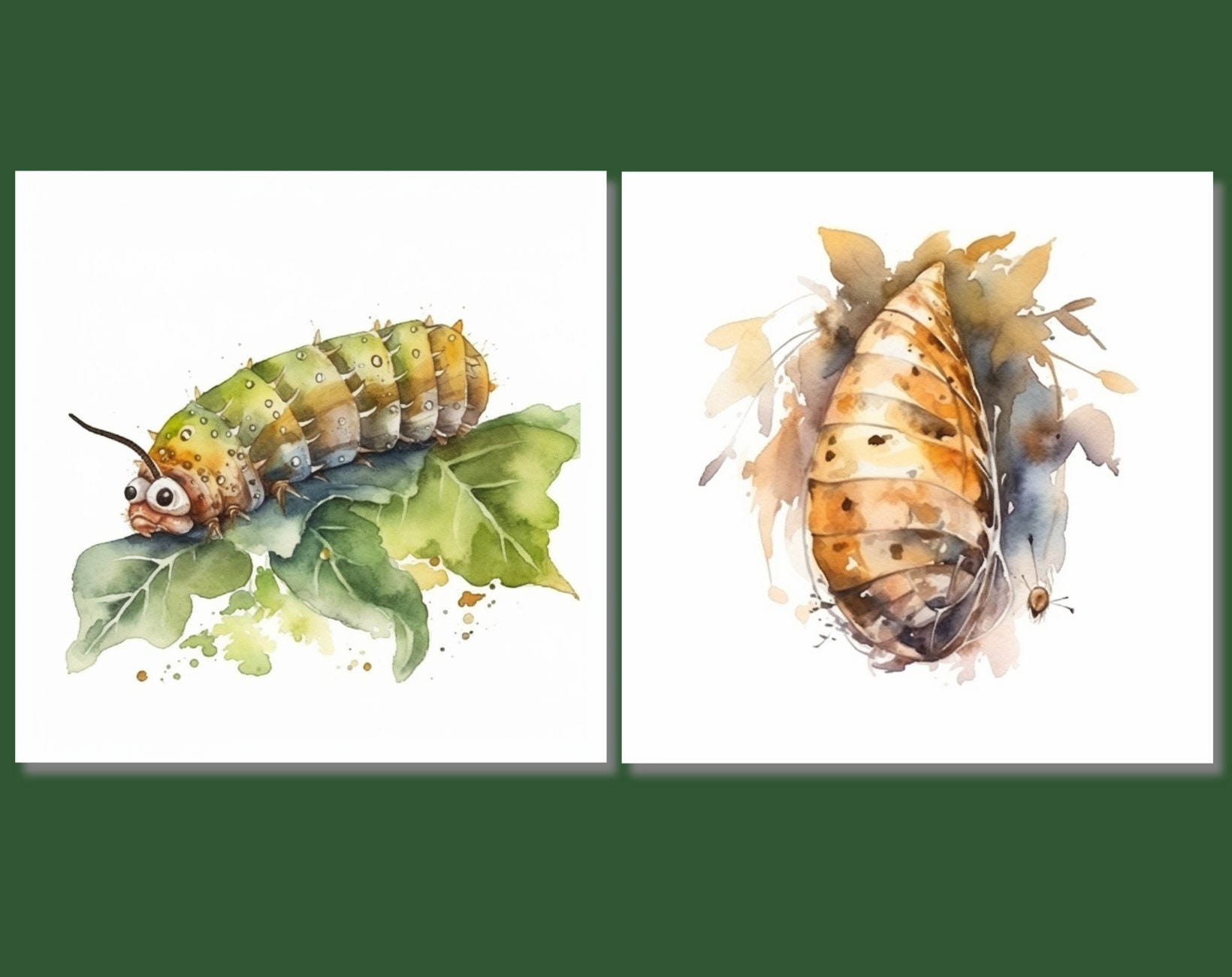 14 Watercolor Caterpillar Illustrations Cliparts - Digital Download ...