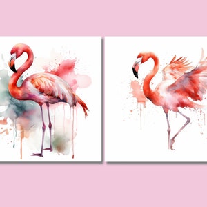 Watercolor Flamingo Illustrations Cliparts - Digital Download ...