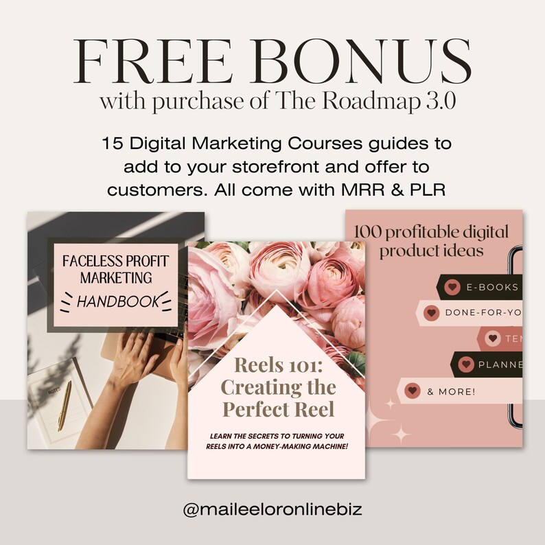 Roadmap to Riches 3.0 Training Course Digital Marketing Done for You ...