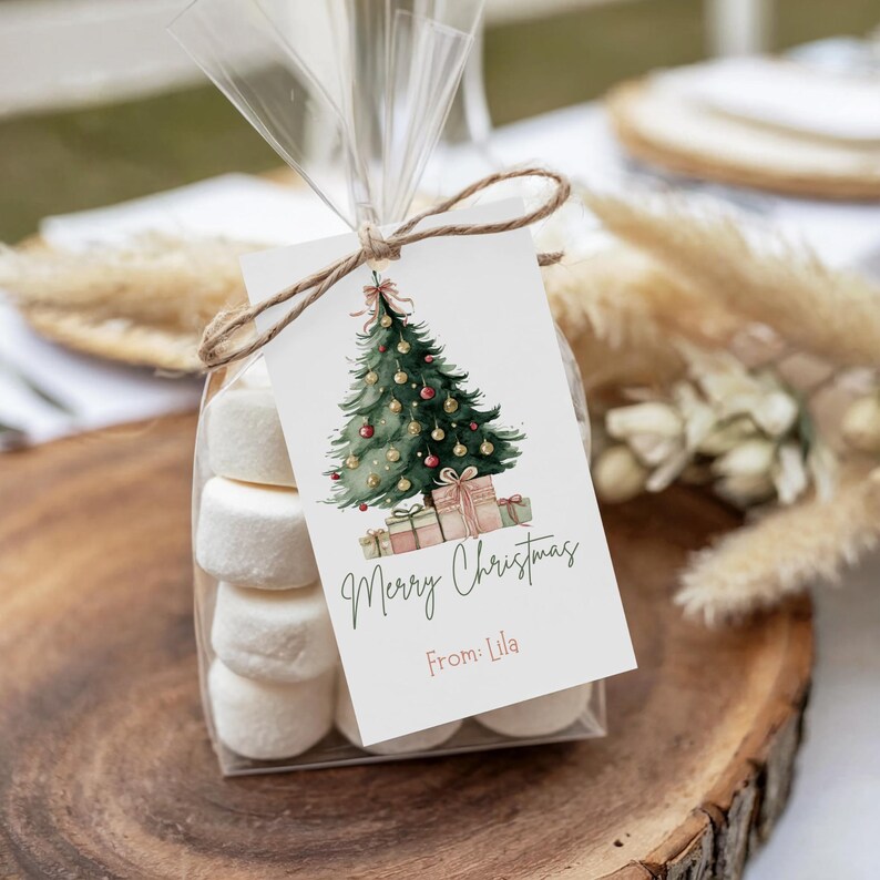 Printable Christmas Gift Tags Party Favor Tags, Personalized Christmas ...